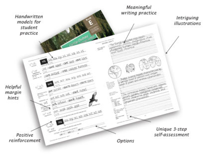 Italic Handwriting Series - Handwriting Success
